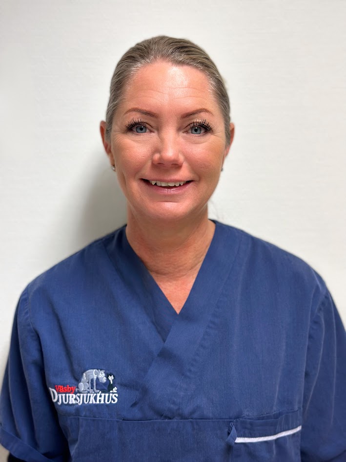 Personalen hos Väsby Djursjukhus i Stockholm